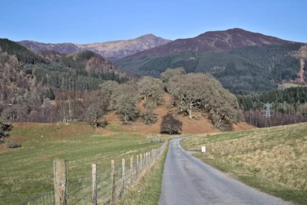Crieff Cloverleaf Shorter Routes - The Little Leaf